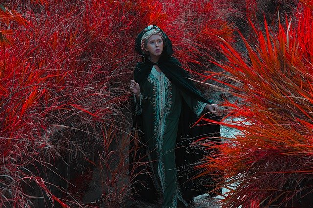 Congreso online – Stranger Things. Fantasy in Anquity in Historiography ...