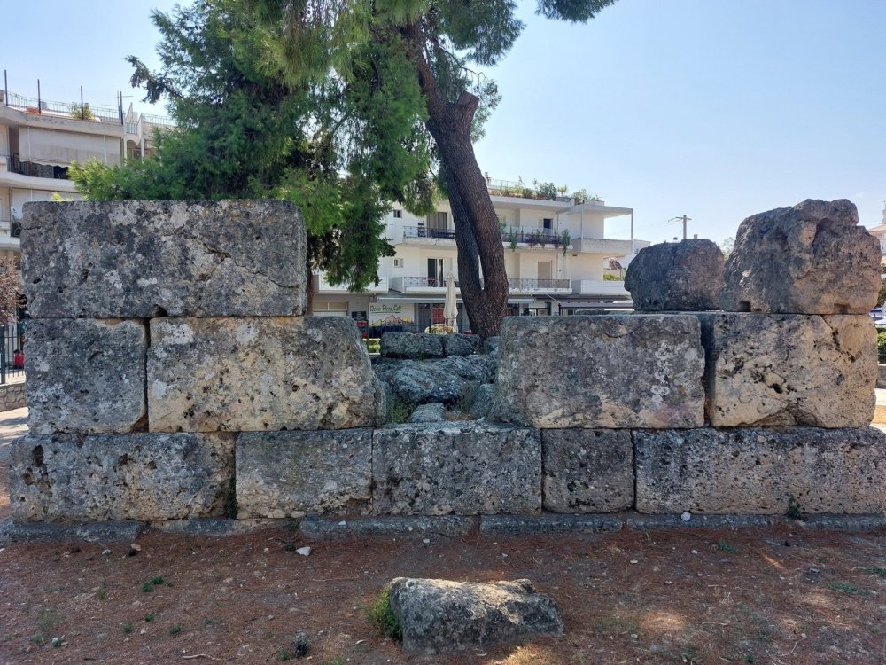 Cesar Fornis: «Esparta era la ciudad de la virtud y de la guerra»